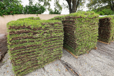 Floratam St. Augustine Sod - 400 Square Foot Pallet – Wekiva Farms
